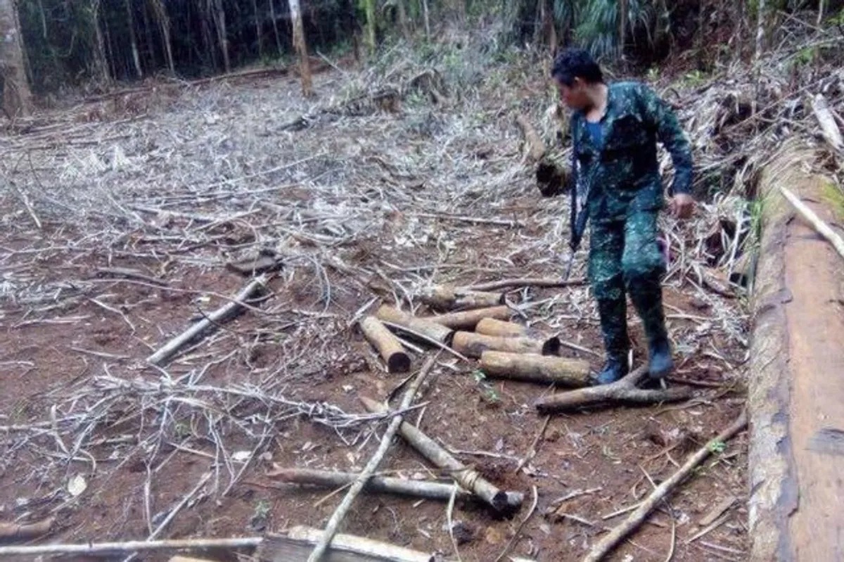 Abandonadong training camp ng armadong grupo, nadiskubre sa Palawan ...