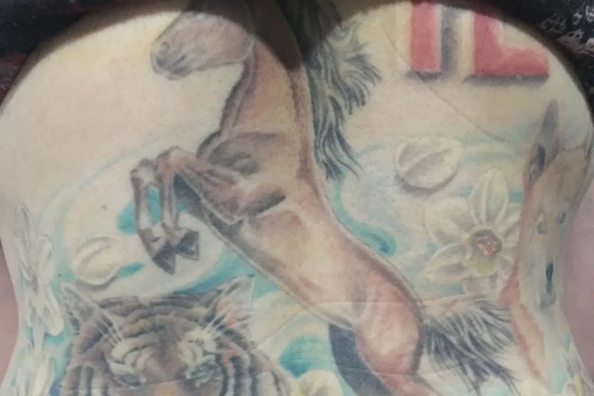 LOOK: Sara Duterte pokes fun at Trillanes over triad tattoo inquiry | ABS-CBN News