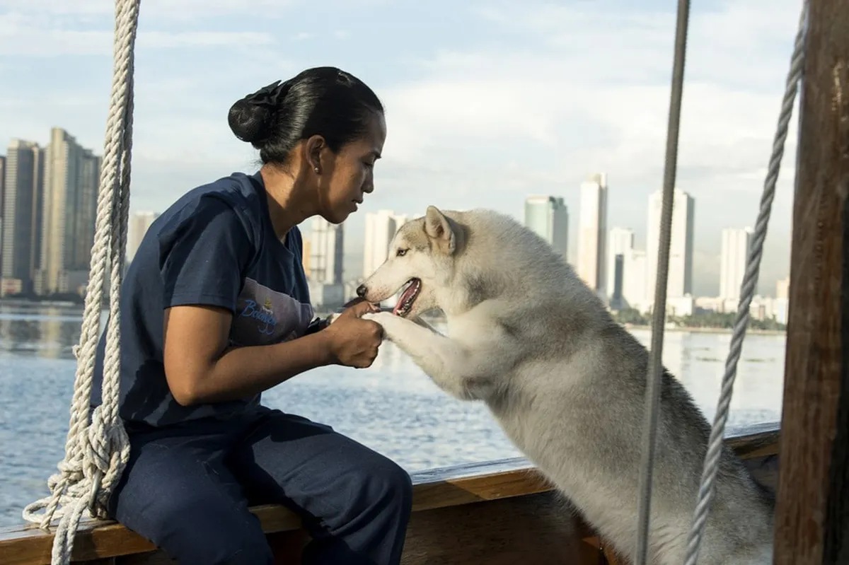 Philippine Everest conqueror sets sail for China | ABS-CBN