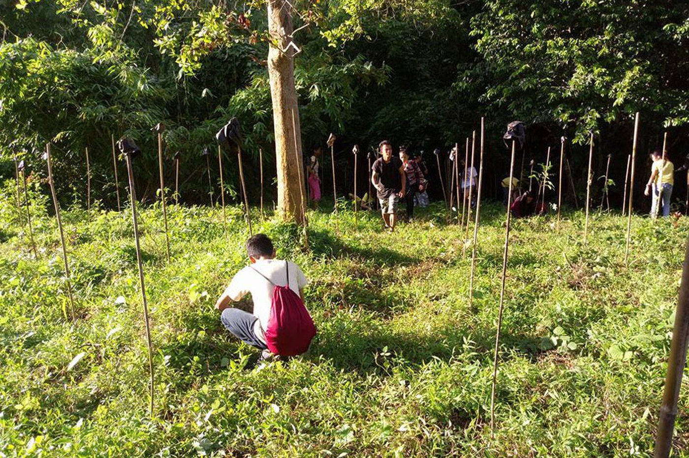 Palawan residents plant 30k seedlings for Feast of the Forest | ABS-CBN ...