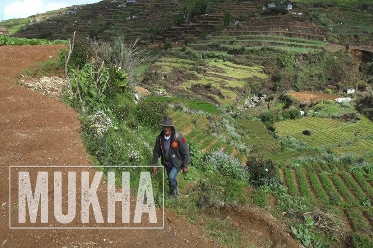 Conquering the cold: The struggles of a Benguet farmer | ABS-CBN Lifestyle
