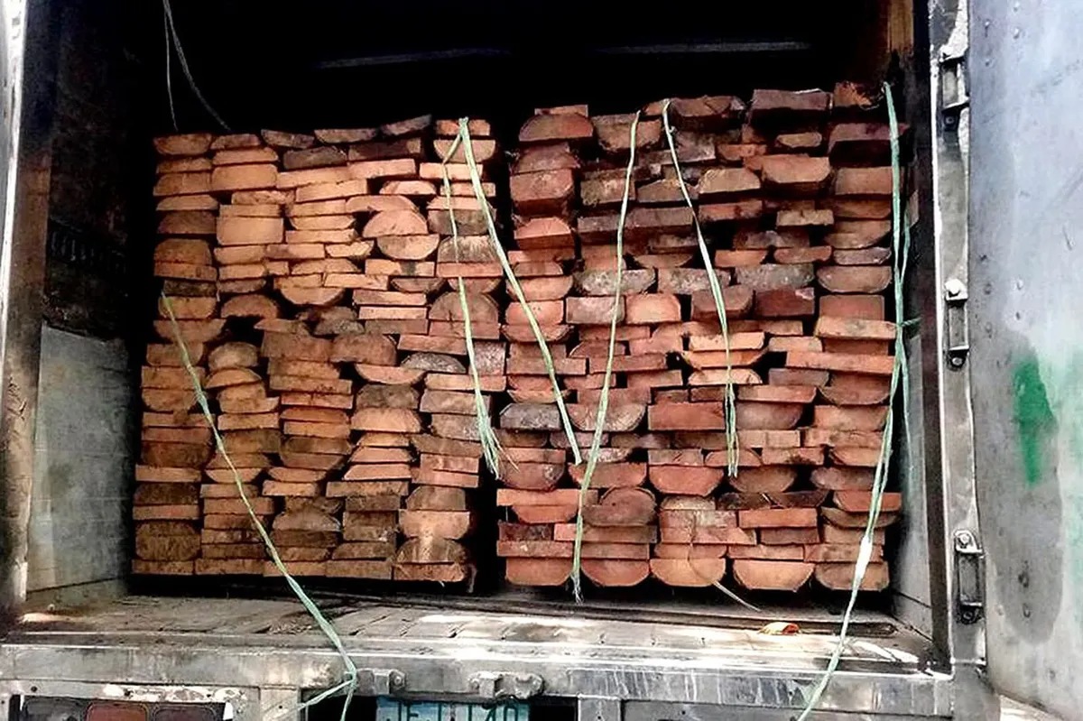 Police seize P77K worth of coco lumber in Dapitan | ABS-CBN News