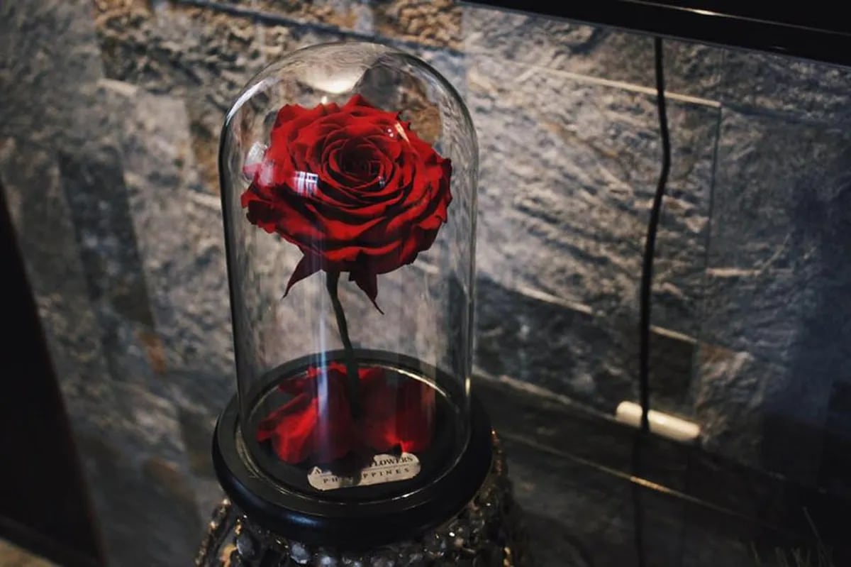 LOOK: A real-life 'Enchanted Rose' | ABS-CBN Lifestyle
