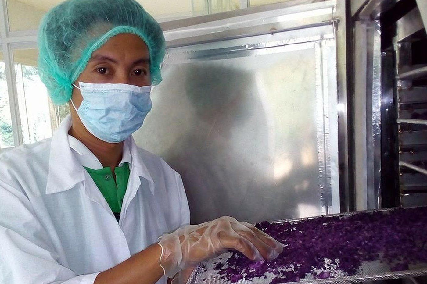 Pinoy-made powdered ube bags tech award in Singapore | ABS-CBN Lifestyle