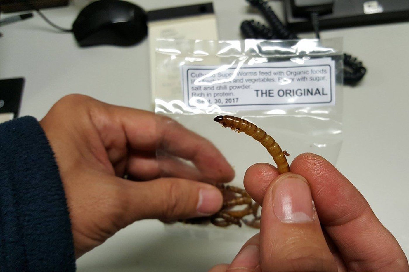 Will you eat Bohol's crispy worms? | ABS-CBN Lifestyle