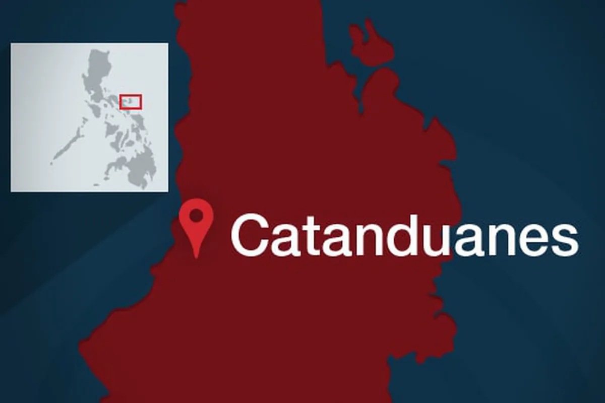 Patay na balyena, natagpuan sa Catanduanes | ABS-CBN News