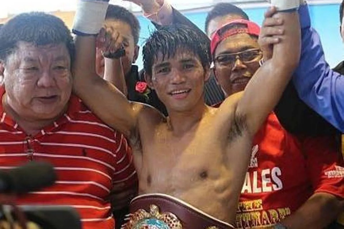 Boxing: Marlon Tapales acknowledges pressure creeping in as title ...