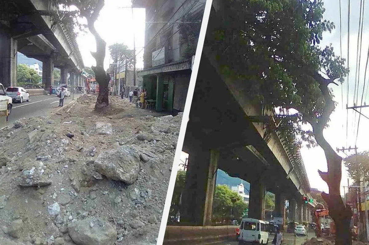 LRT-2 operation resumes after clearing of tree branches | ABS-CBN News