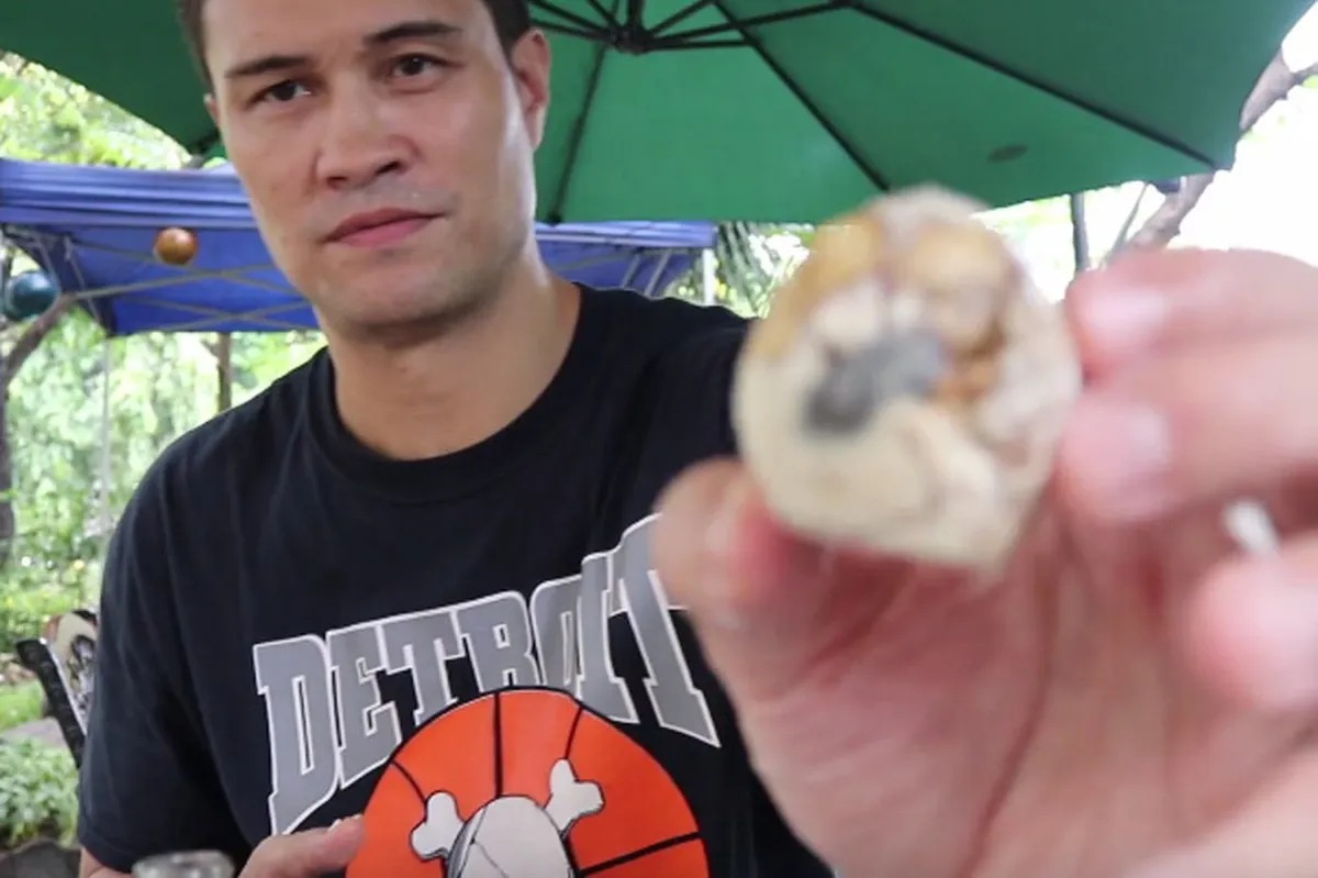 Former Ginebra player Erik Menk steps up game, eats balut for 1st time ...