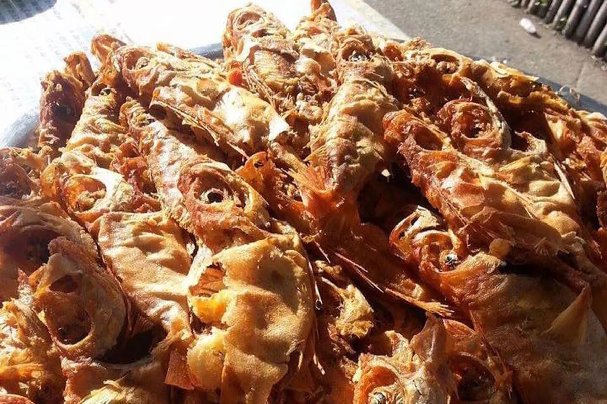 Ikaapat na Kuwaw festival, pinagdiwang sa Albay | ABS-CBN Lifestyle