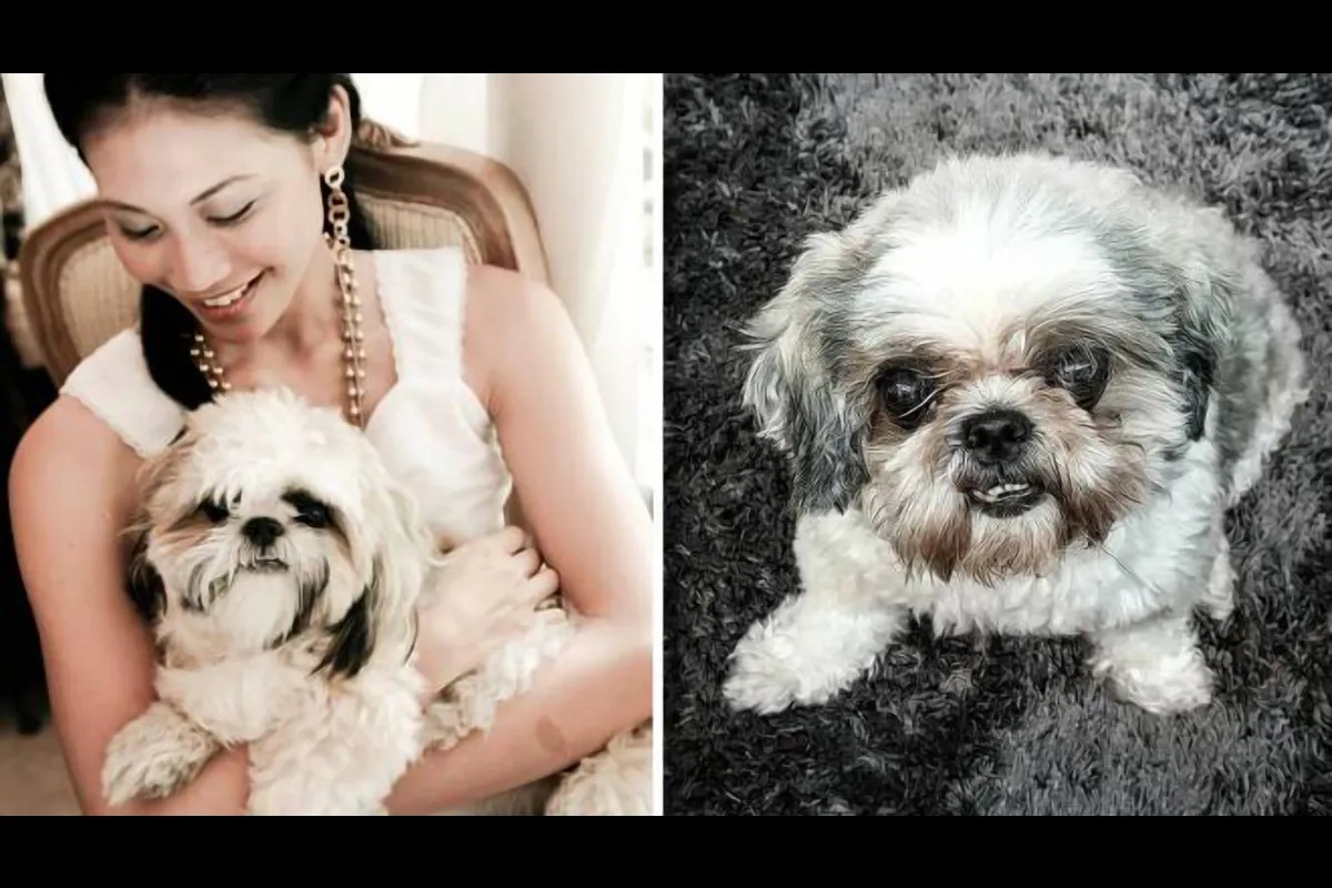Actress Gee Canlas says goodbye to her furry best friend of 15 years ...