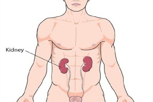 ALAMIN: Paano maiiwasan ang kidney stones | ABS-CBN Lifestyle