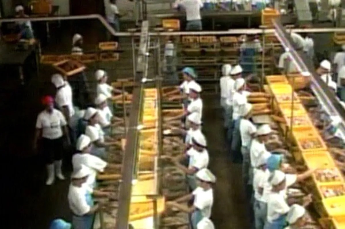 Ending 'endo': Solon files bill vs labor contractualization | ABS-CBN News