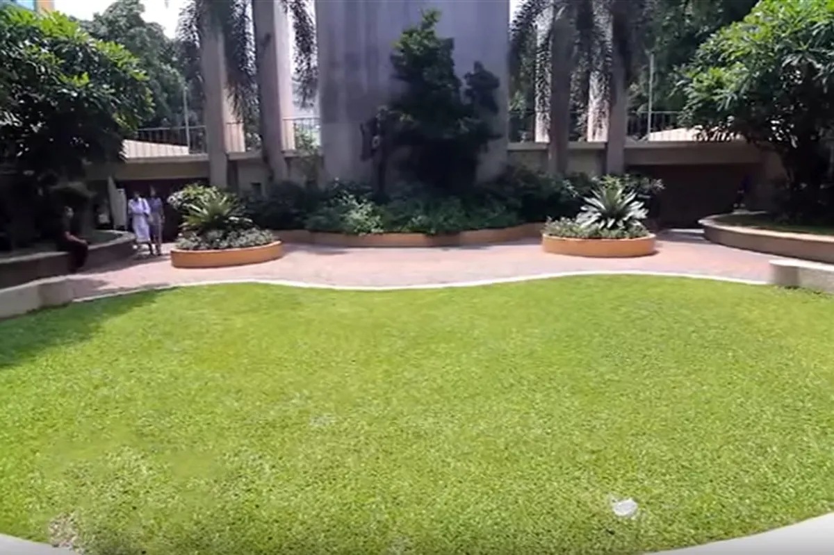WATCH: Find 'smiling tamaraw' inside FEU campus | ABS-CBN Lifestyle