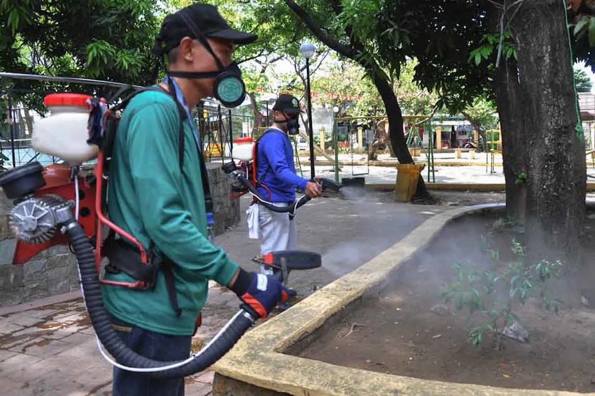 Batang lalaki, namatay sa dengue sa Benguet | ABS-CBN News Batang lalaki, namatay sa dengue sa Benguet | ABS-CBN News