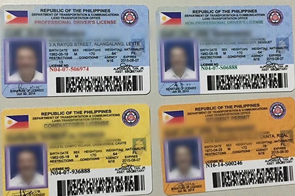 Inside men: LTO probes collusion in production of fake licenses | ABS ...