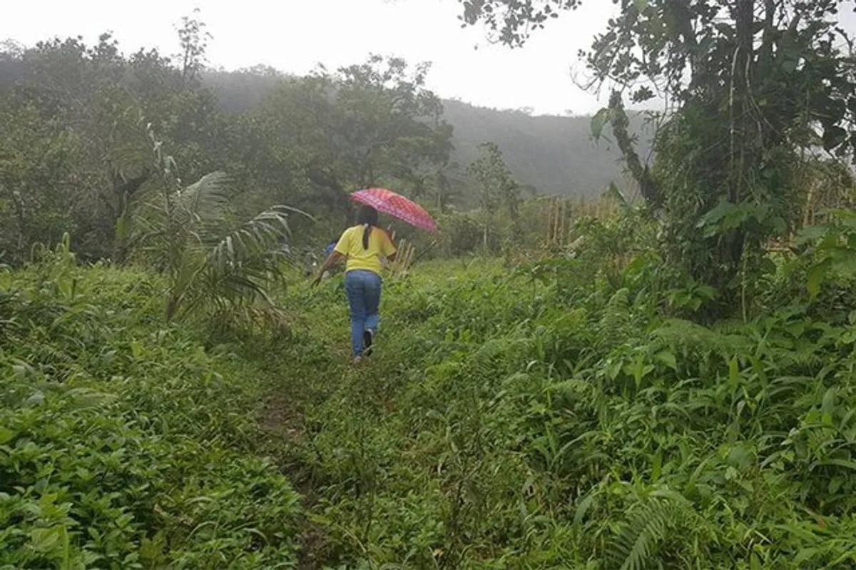 Hydroenergy project sa loob ng Isarog park, inirereklamo | ABS-CBN News