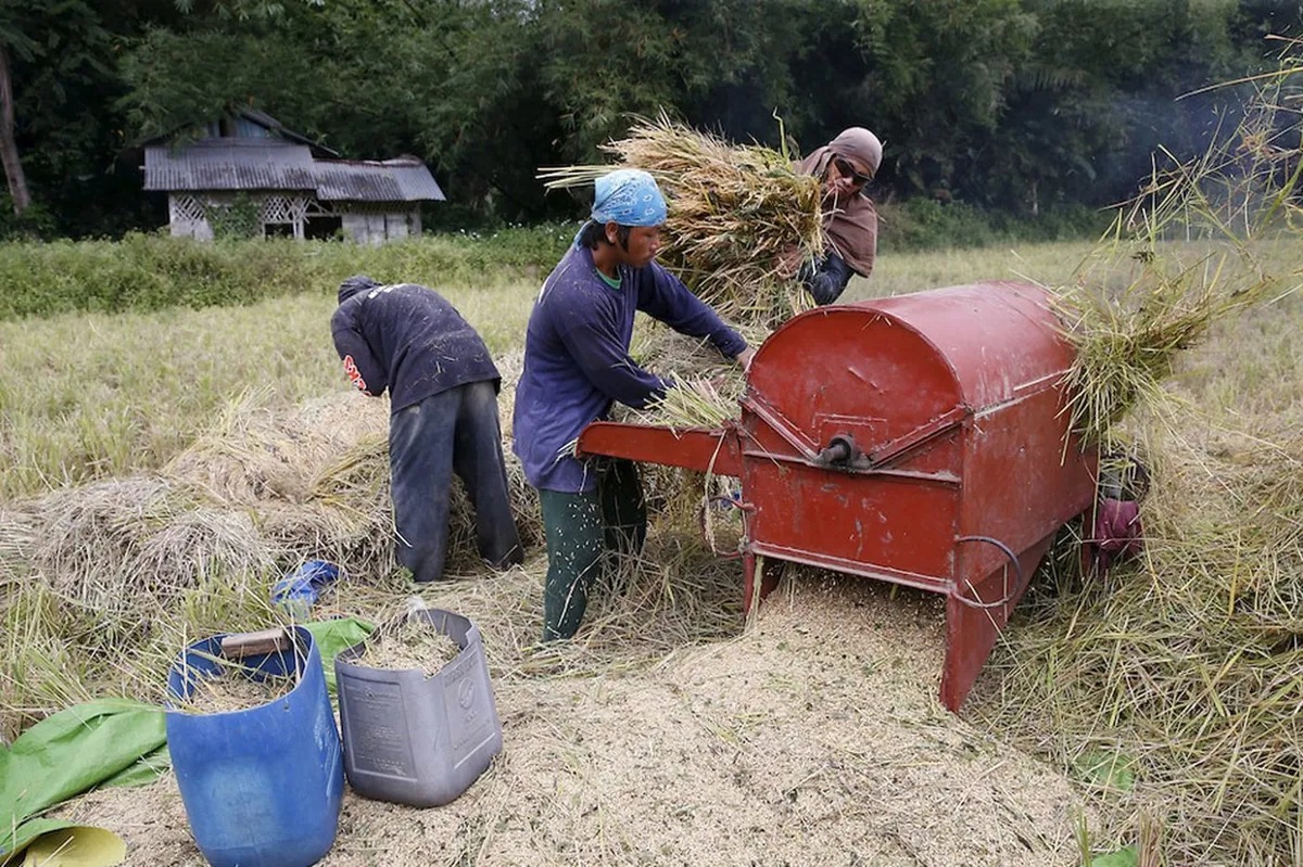 4Ps beneficiaries to receive P600 monthly rice subsidy | ABS-CBN News
