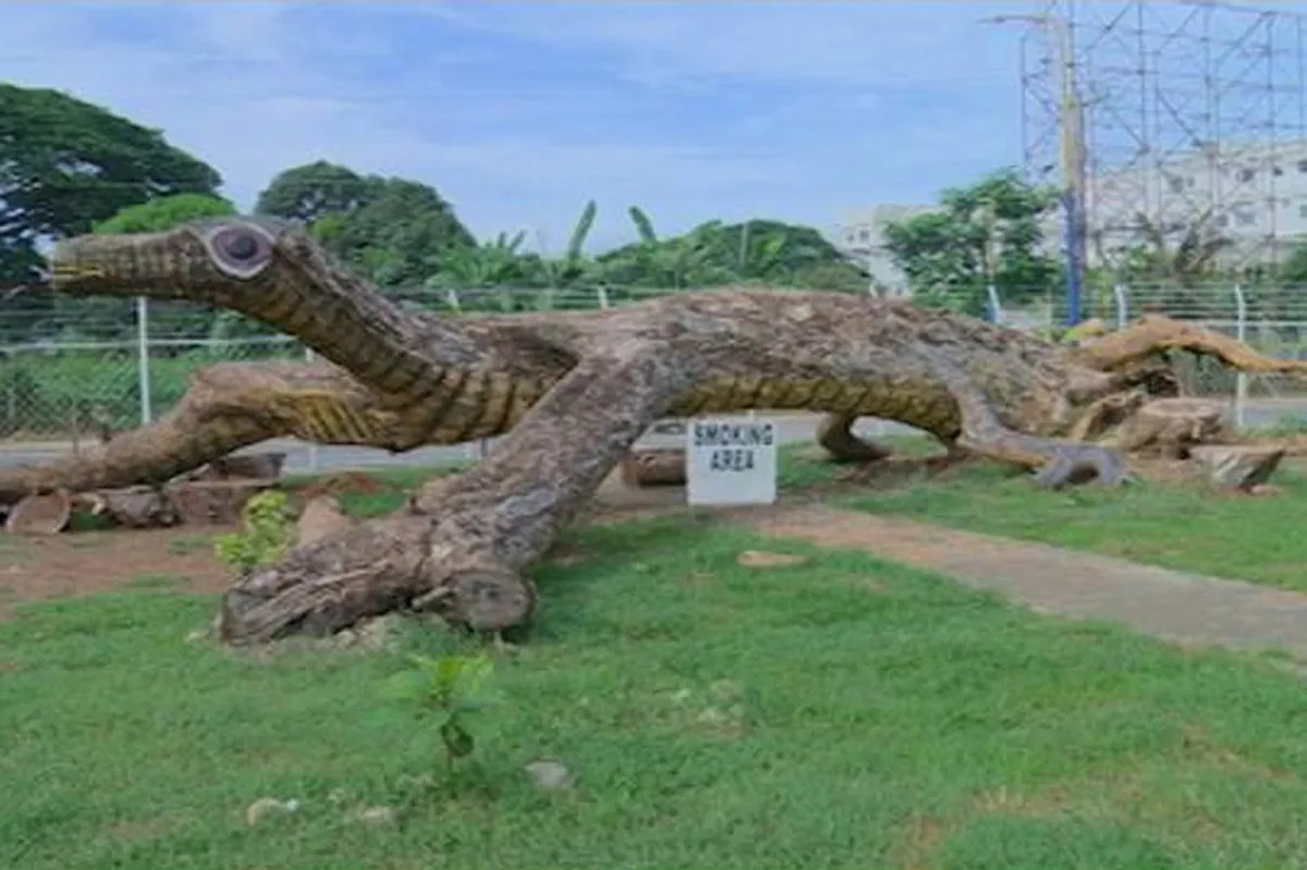 LOOK: Giant 'lizard' now a selfie favorite in Puerto Princesa | ABS-CBN ...