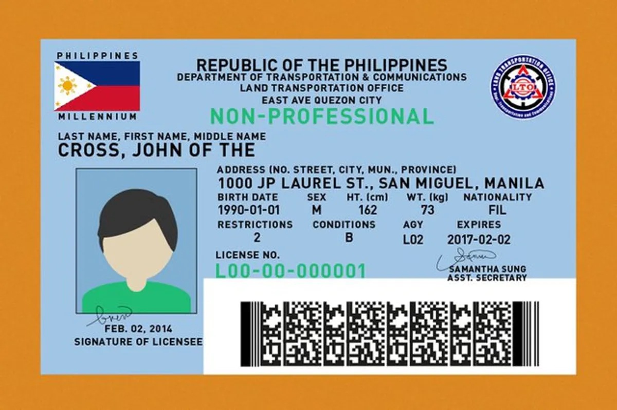 Driver's license cards out now in Metro Manila | ABS-CBN News