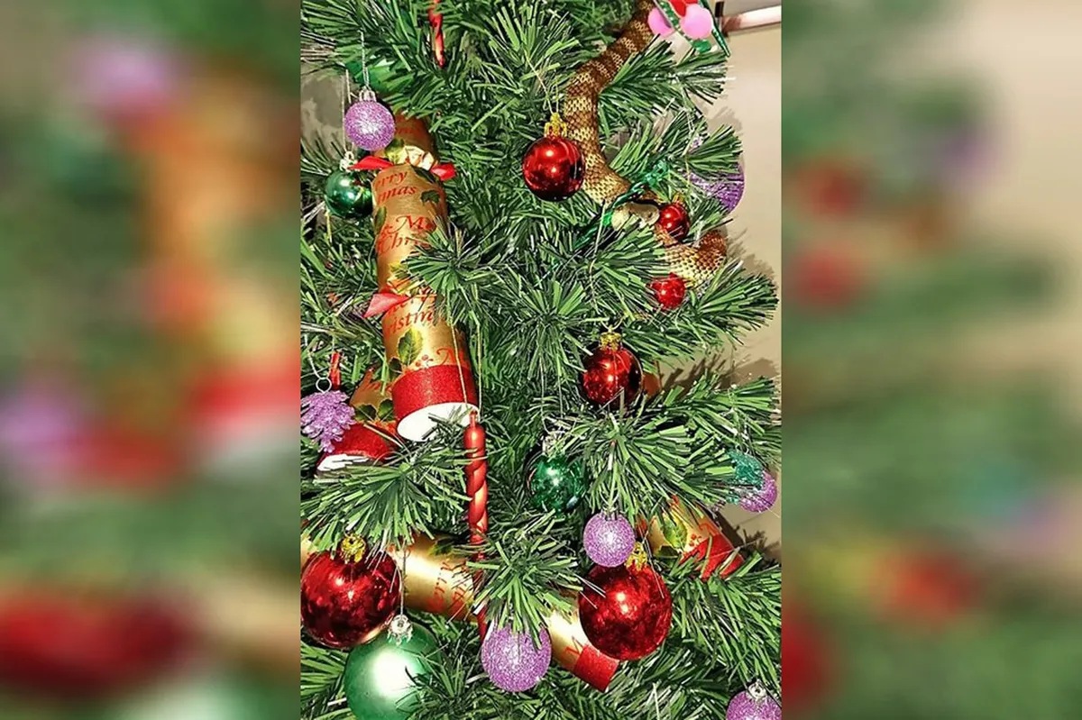 Snake disguises itself as tinsel on Christmas tree | ABS-CBN News