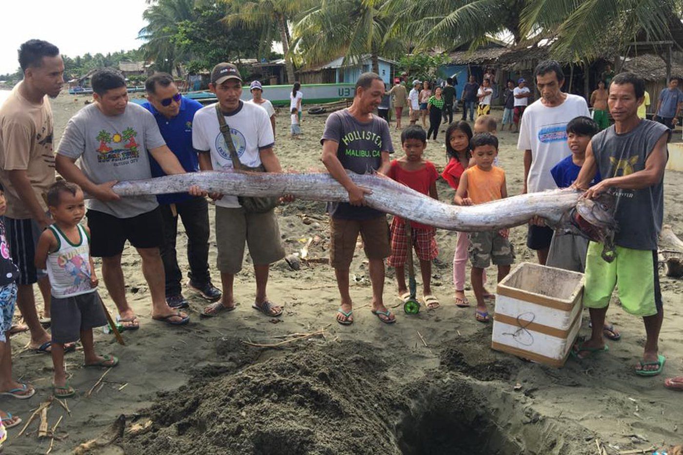 Dead oarfish found in Mindanao sparks debate: Can animals predict ...