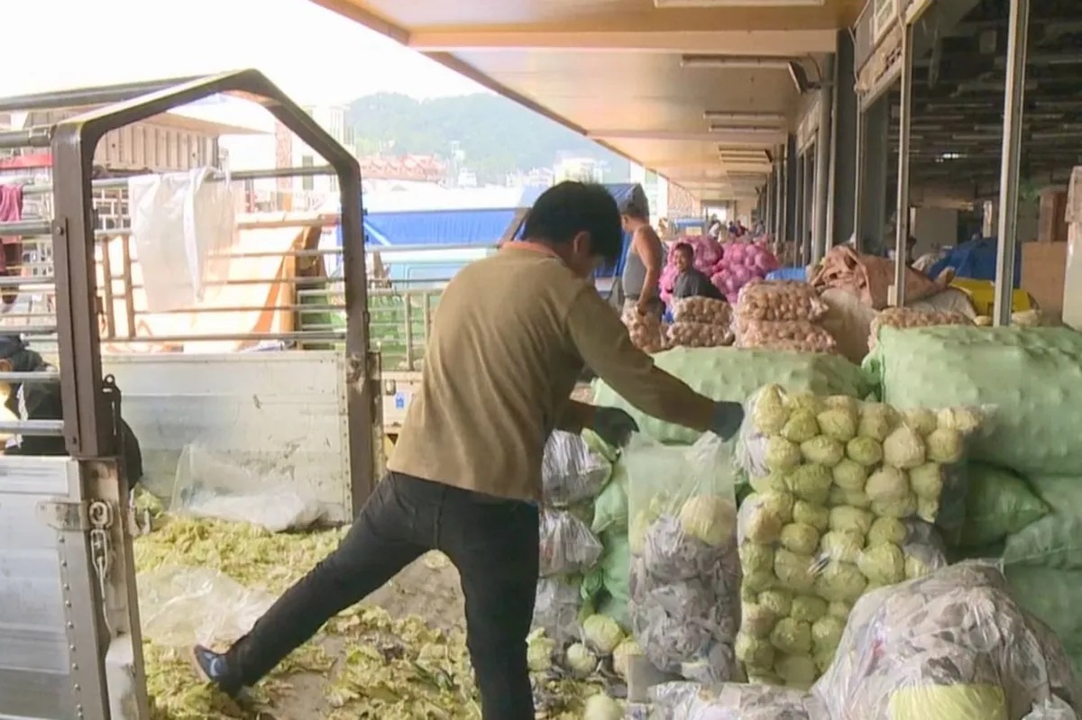 Utang ng mga bumibili ng gulay sa Benguet farmers, halos P20 milyon na | ABS-CBN News