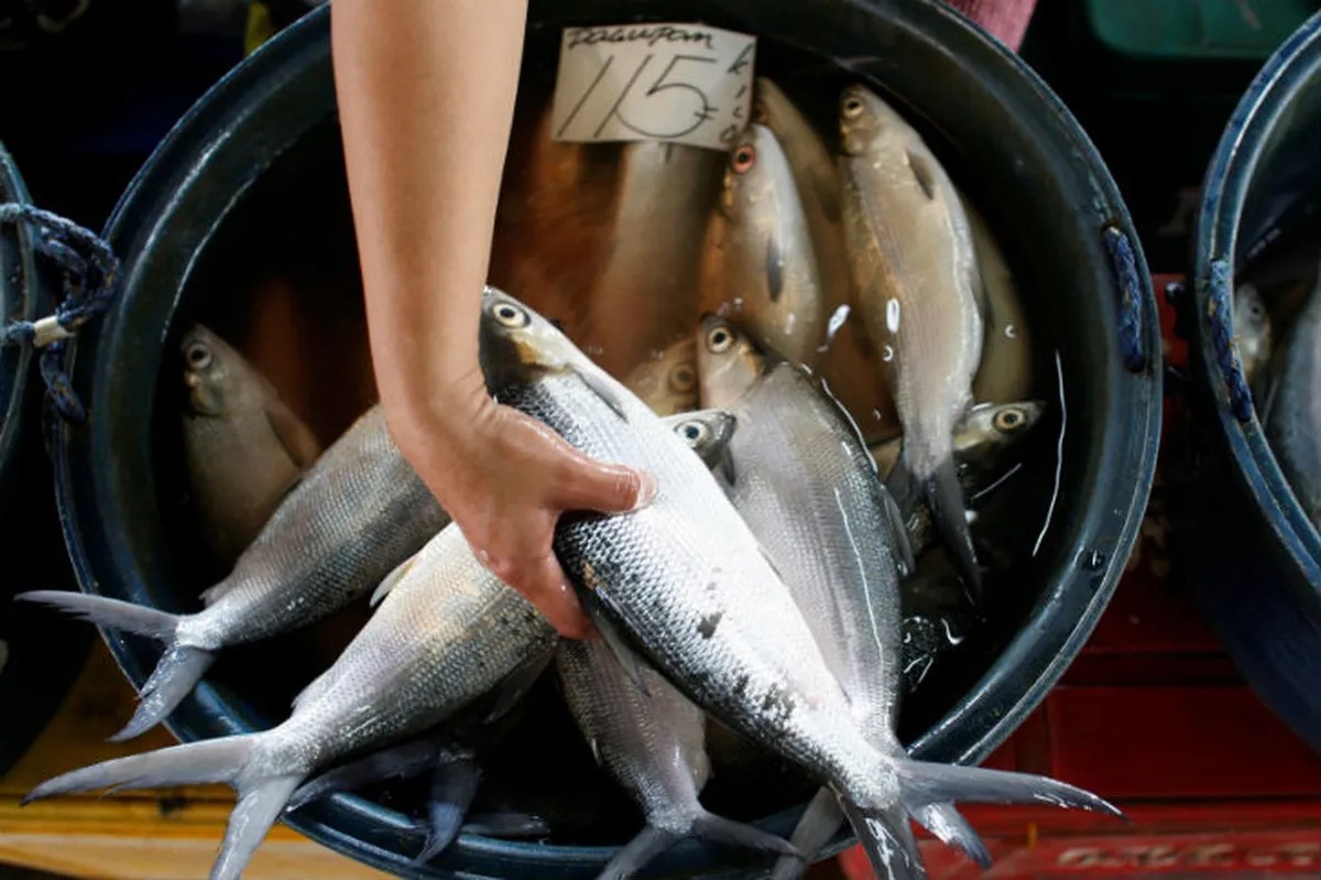 Why you should eat more fish | ABS-CBN Lifestyle