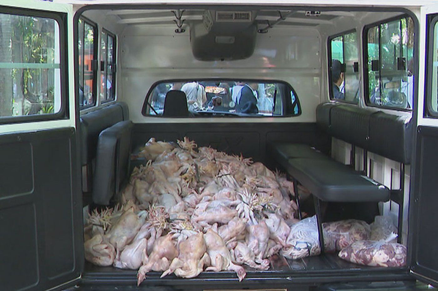 Nakumpiskang 'botcha' ipinakain sa mga hayop sa Manila Zoo | ABS-CBN News