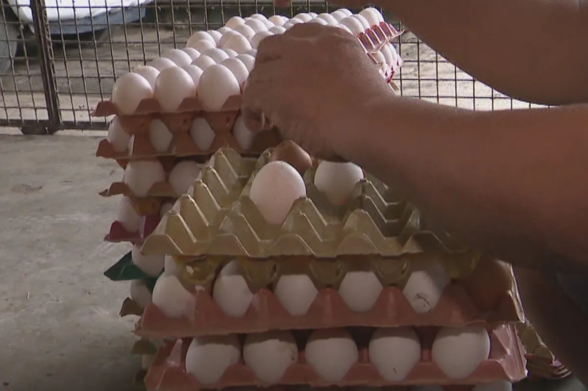 'Tatlo-sampung-pisong' basag na itlog, mabenta sa Bulacan | ABS-CBN News