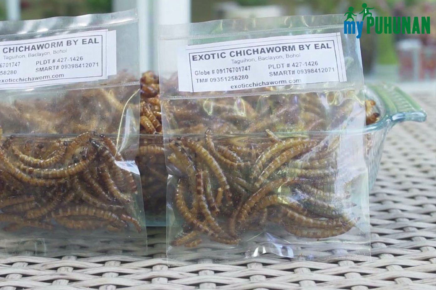 Kakasa ka ba sa Chichaworm Challenge? | ABS-CBN News