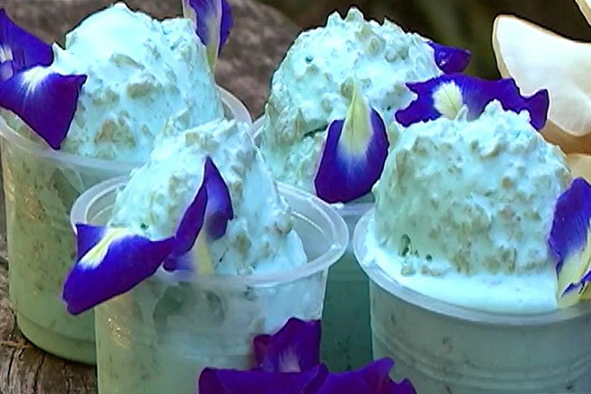 Mushroom ice cream, tampok sa Albay | ABS-CBN