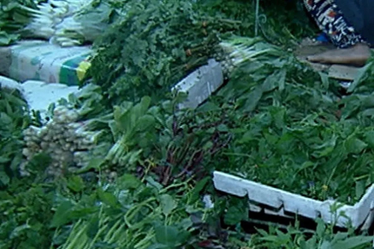 Mga gulay mula Baguio, nagtaas-presyo | ABS-CBN