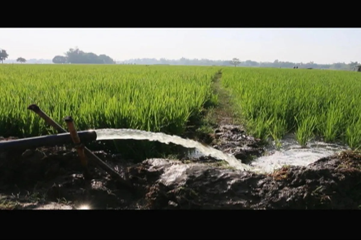 Mga magsasaka sa Guimba, bitin sa patubig | ABS-CBN News