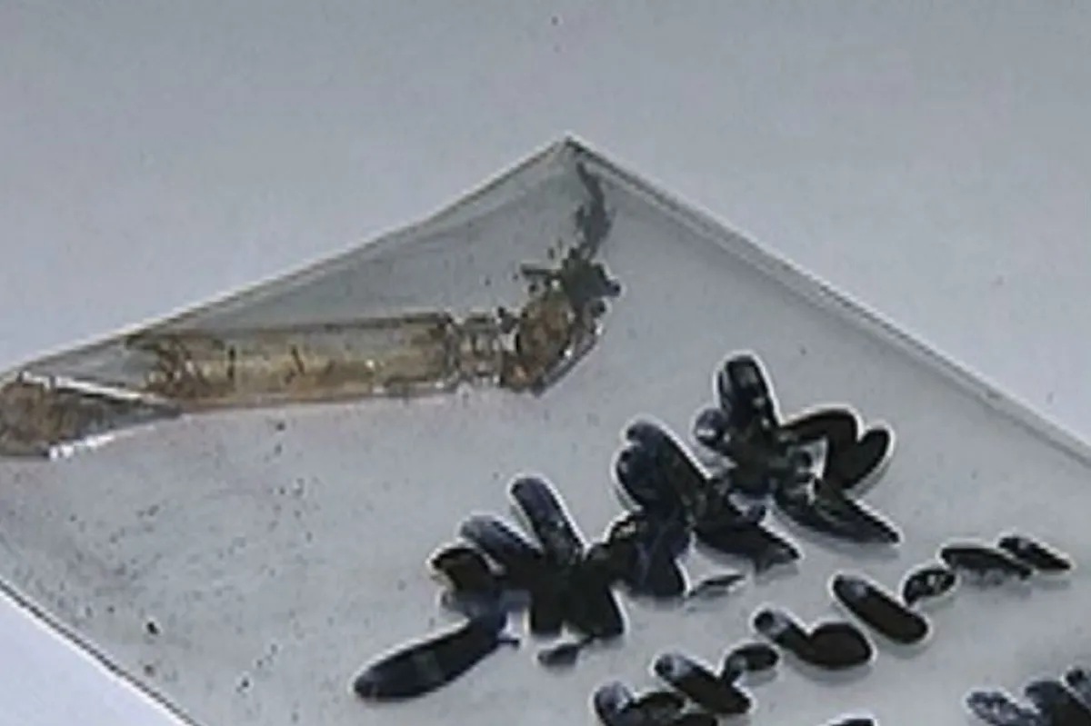 2 estudyante, huli sa paggamit ng droga sa paaralan | ABS-CBN News