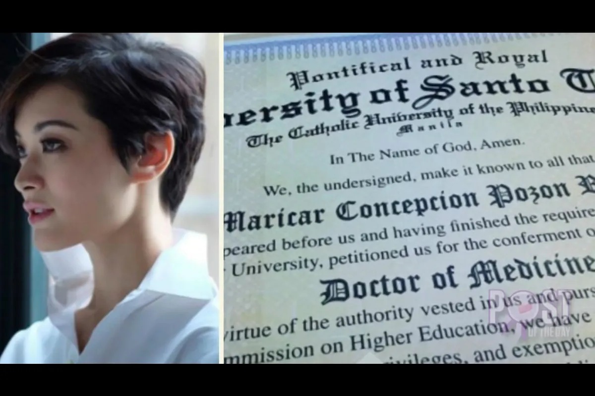 Look: Maricar Reyes reminisces life as a Doctor | ABS-CBN Entertainment