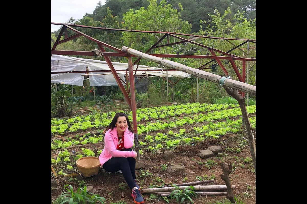 PHOTOS: KrisTV goes to Baguio | ABS-CBN Entertainment