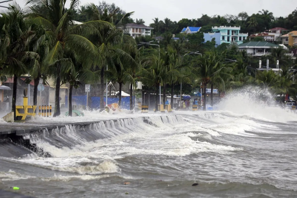 Super Typhoon Pepito fells trees, power lines in the Philippines | ABS ...