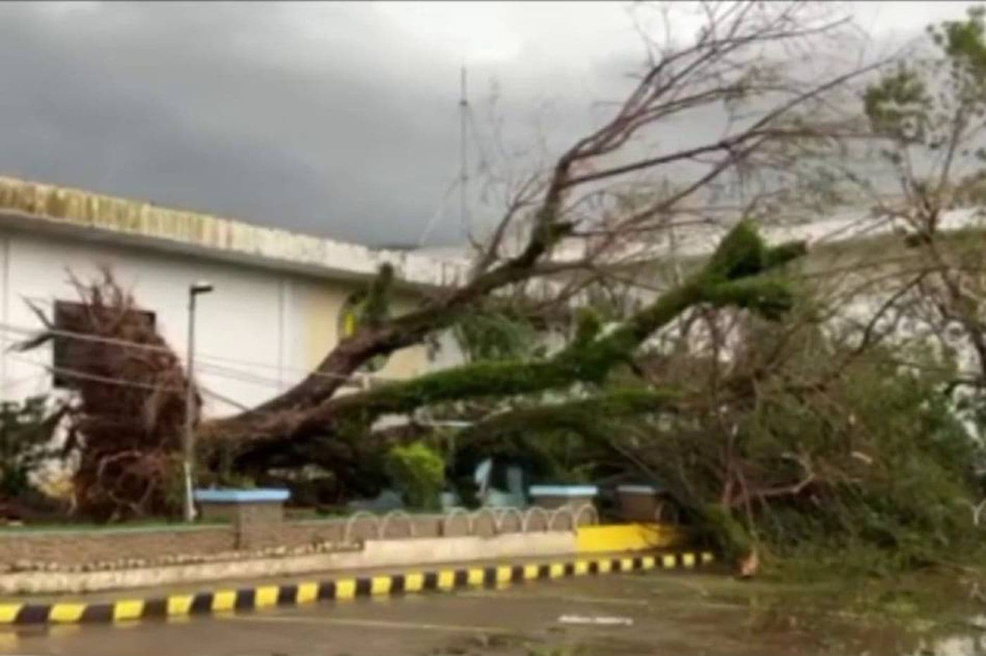 Catanduanes binayo ng Super Bagyong Pepito | ABS-CBN News