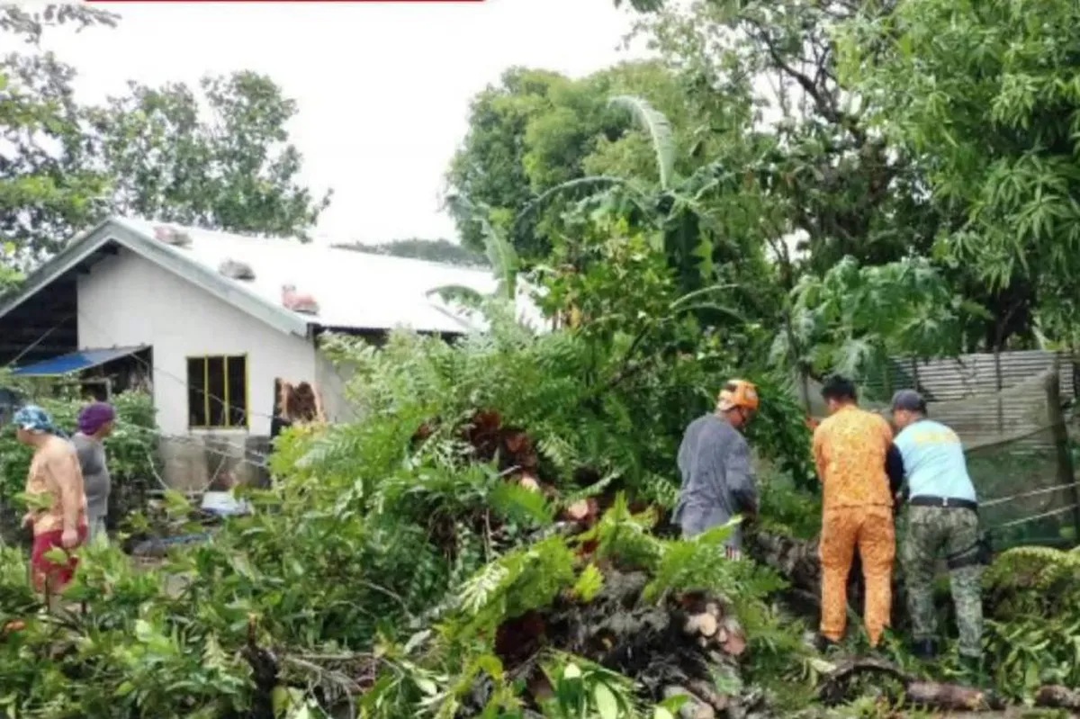 Garchitorena, Camarines Sur napuruhan ng Super Bagyong Pepito | ABS-CBN ...