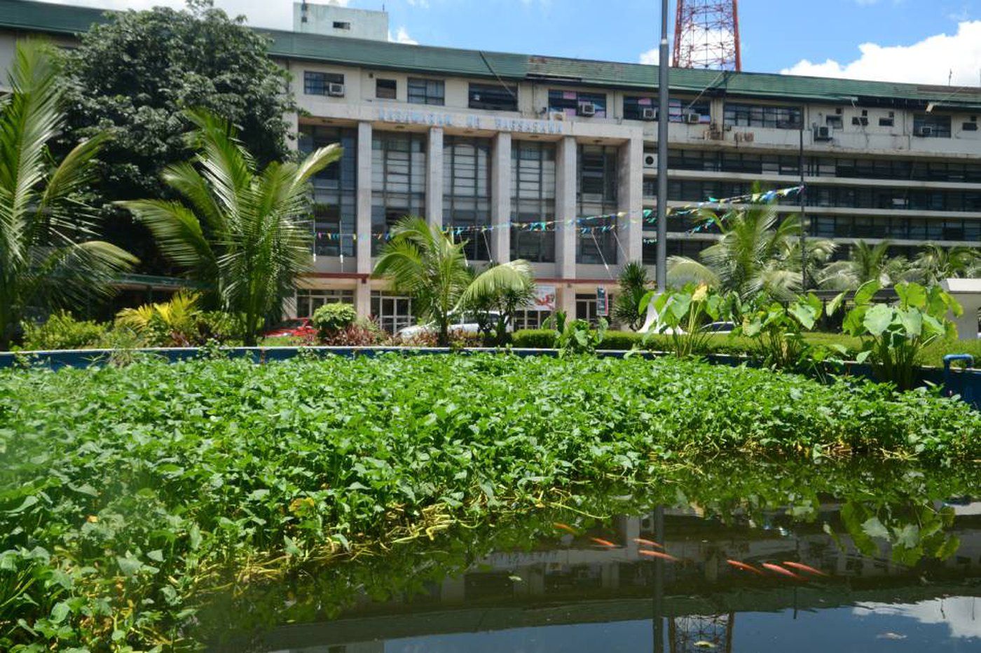 DA urges stronger inter-agency collaboration in fight vs agricultural ...