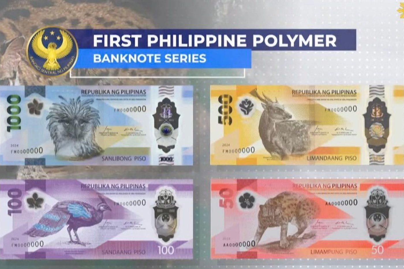 Designs for new 'plastic' money presented to Marcos | ABS-CBN News