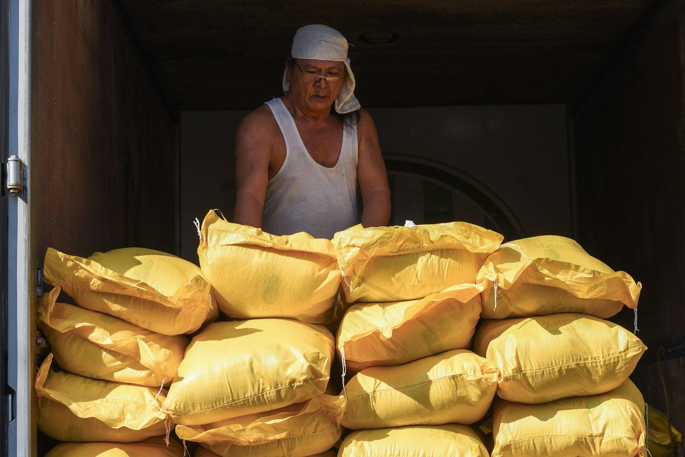 'Sulit' and 'Nutri' Rice to be available starting second week of ...