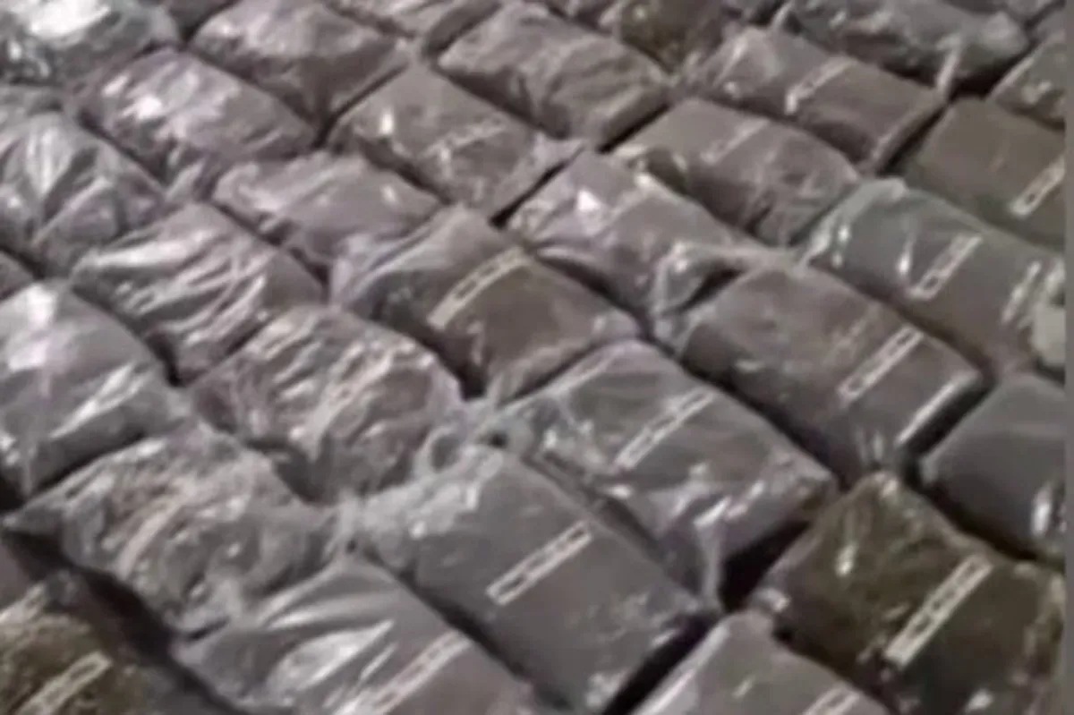 Mahigit 50 kilo ng marijuana na laman ng 5 balikbayan box nasamsam sa ...