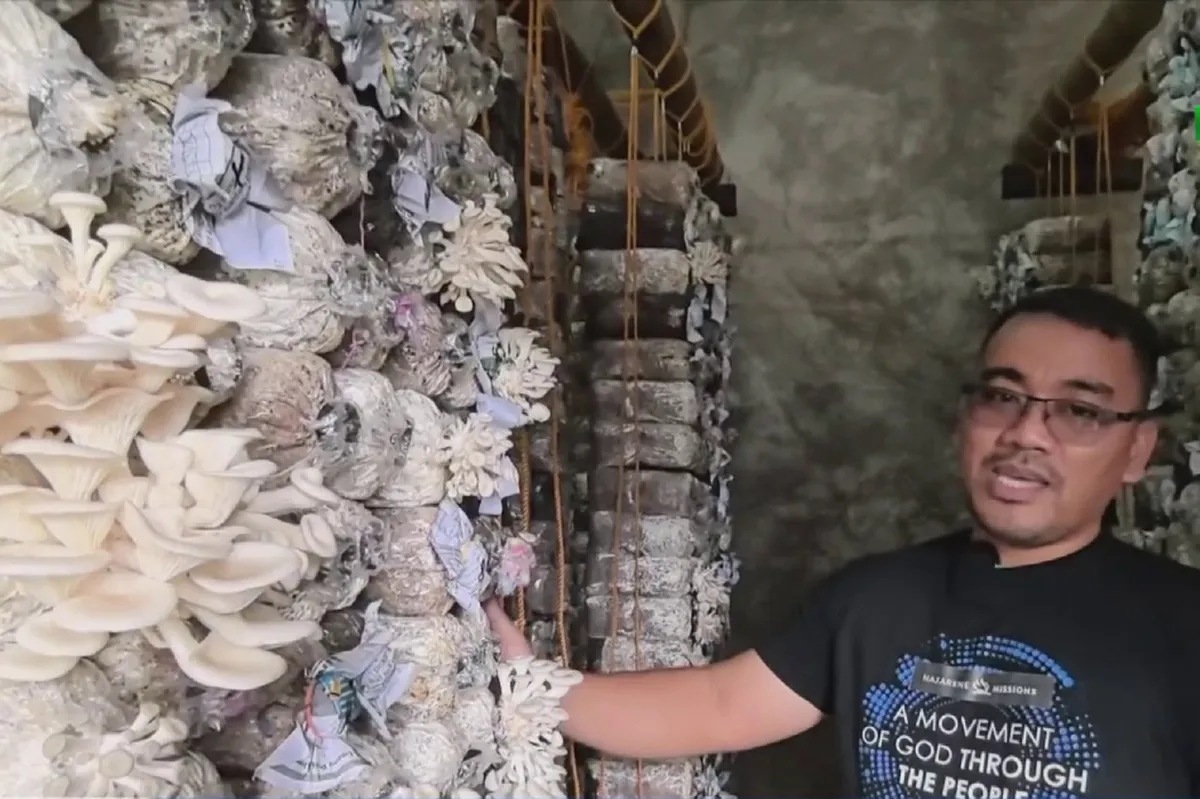 ALAMIN: Iba-ibang street food na gawa sa kabute | ABS-CBN News