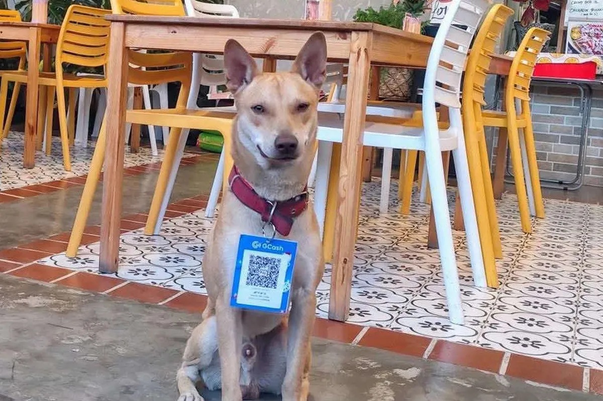 'Proud kami sa kaniya': 'GCash-ier' aspin ng isang resto, kinagiliwan ng netizens | ABS-CBN News