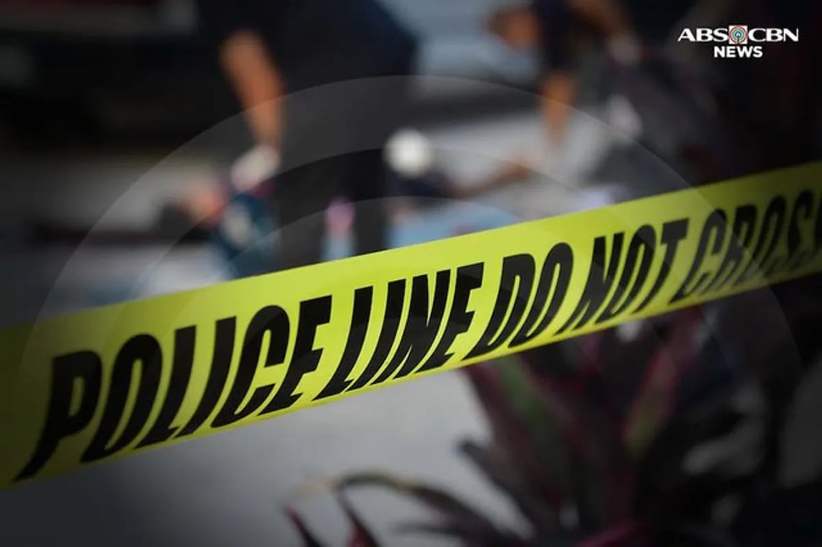 Woman crossing pedestrian lane dies after being hit by speeding rider ...