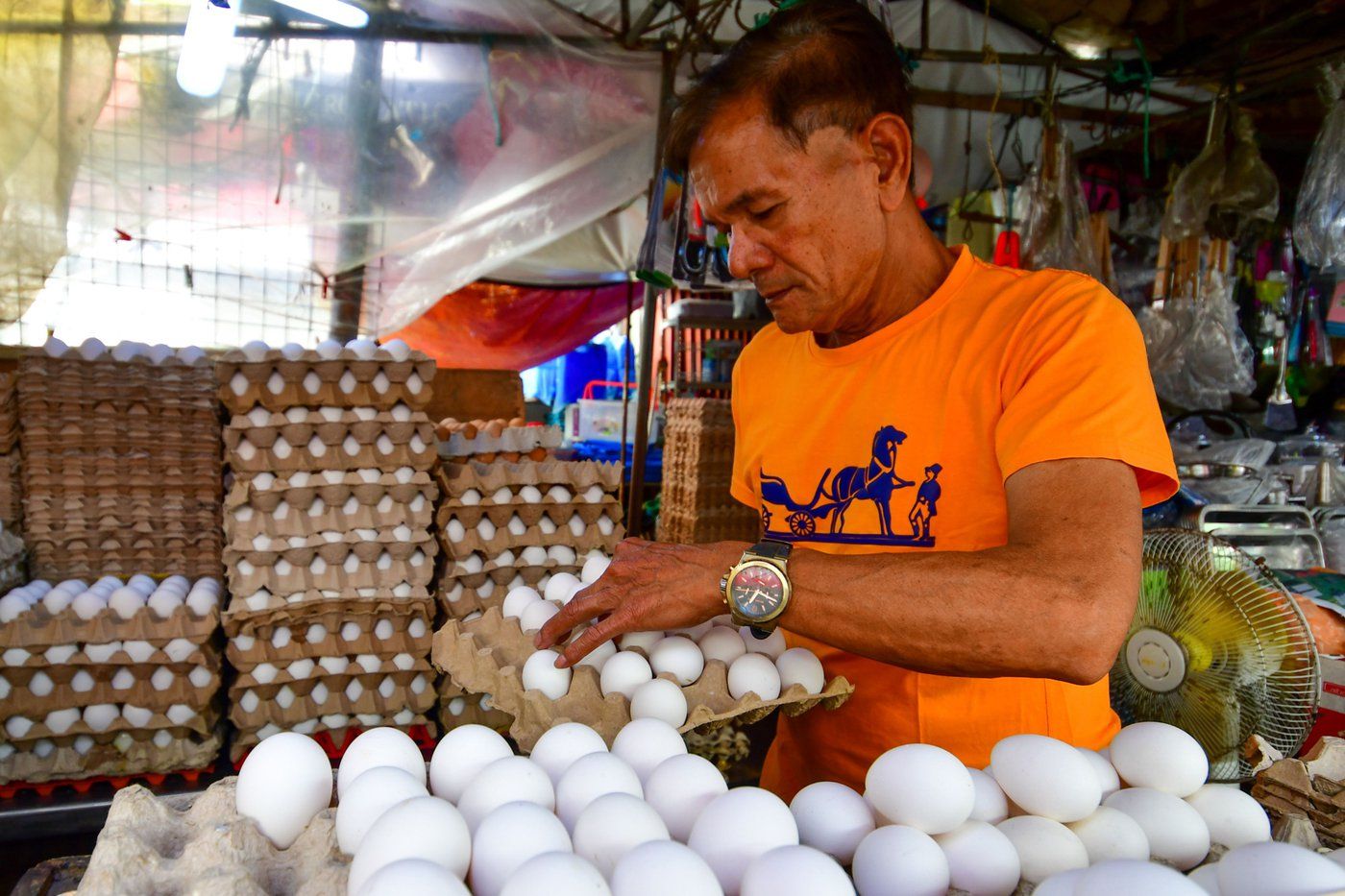 DA taking steps to prevent egg shortage, price surge amid global bird ...