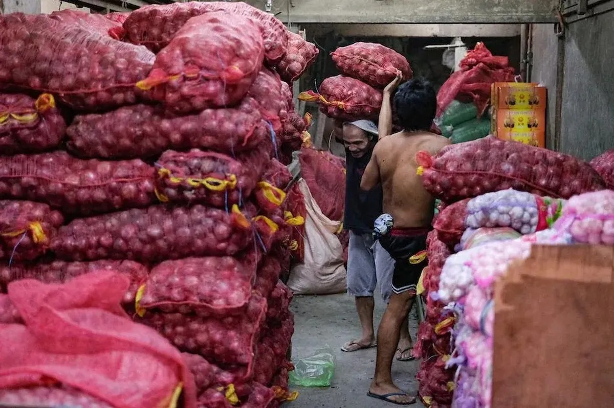 Onion farmers' cry: Why increase imports during harvest season? | ABS ...