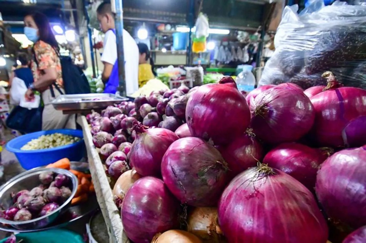 Agri chief defends onion importation ahead of cropping season | ABS-CBN ...